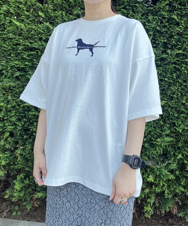 ビームス アウトレット 酒々井（930100） スタイリング・コーディネイト｜BEAMS